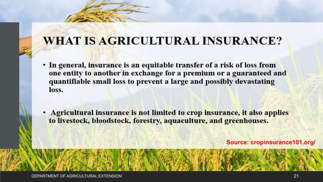 Crop Insurance: A Strategy for Risk Management in Agriculture (2020) | PPT