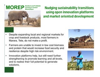Crop livestock farming systems research in semi-arid southern Africa II ...