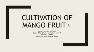 Crop Mango fruit 🥭 Presentation (1).pptx