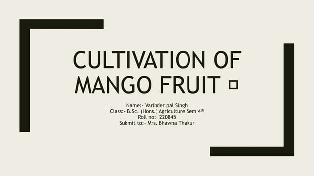 Crop Mango fruit 🥭 Presentation (1).pptx