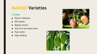 Crop Mango fruit 🥭 Presentation (1).pptx