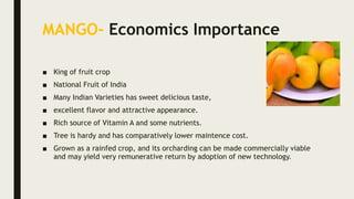Crop Mango fruit 🥭 Presentation (1).pptx
