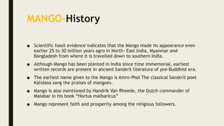 Crop Mango fruit 🥭 Presentation (1).pptx