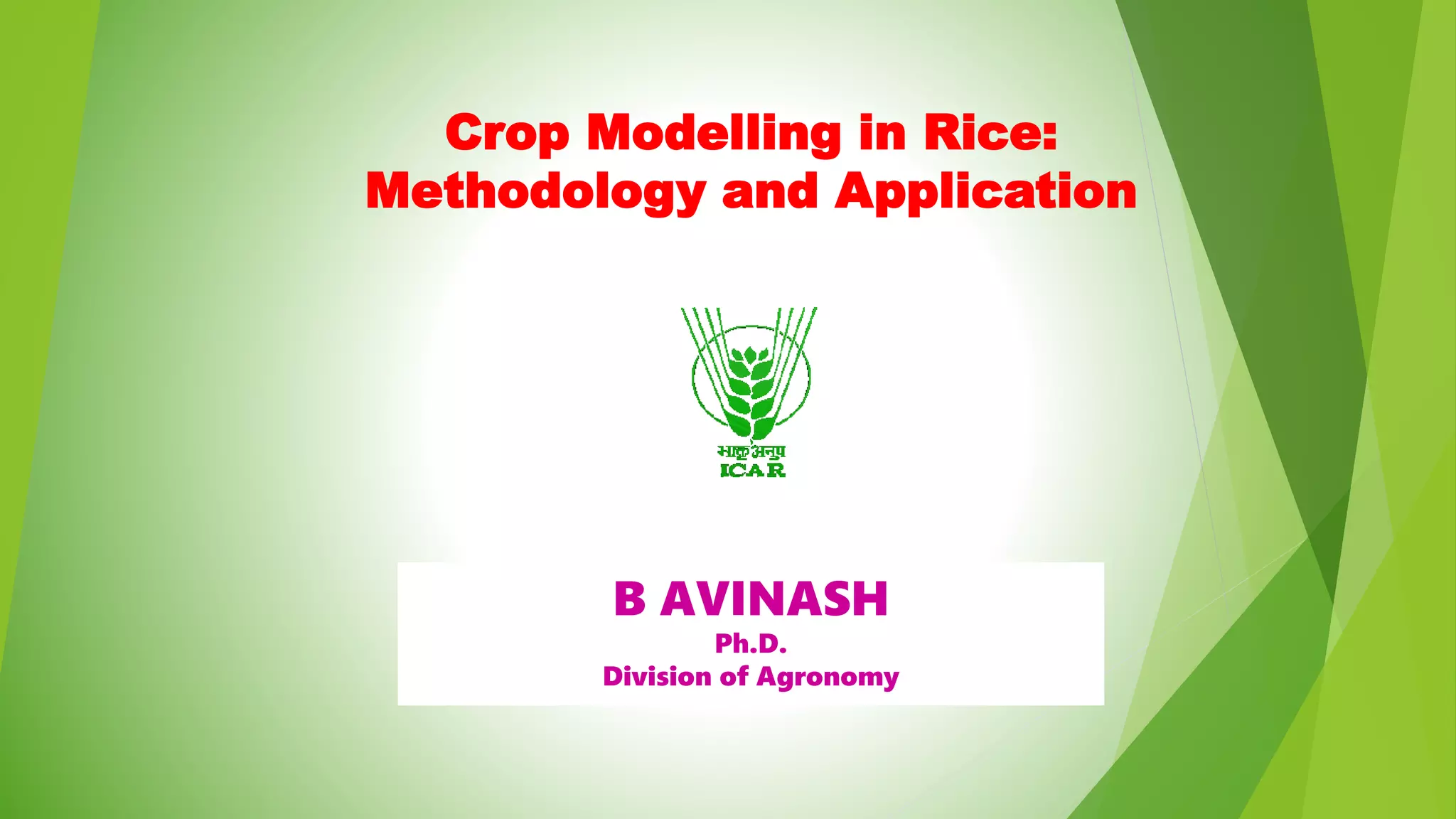 Crop Modelling in Rice | PPTX
