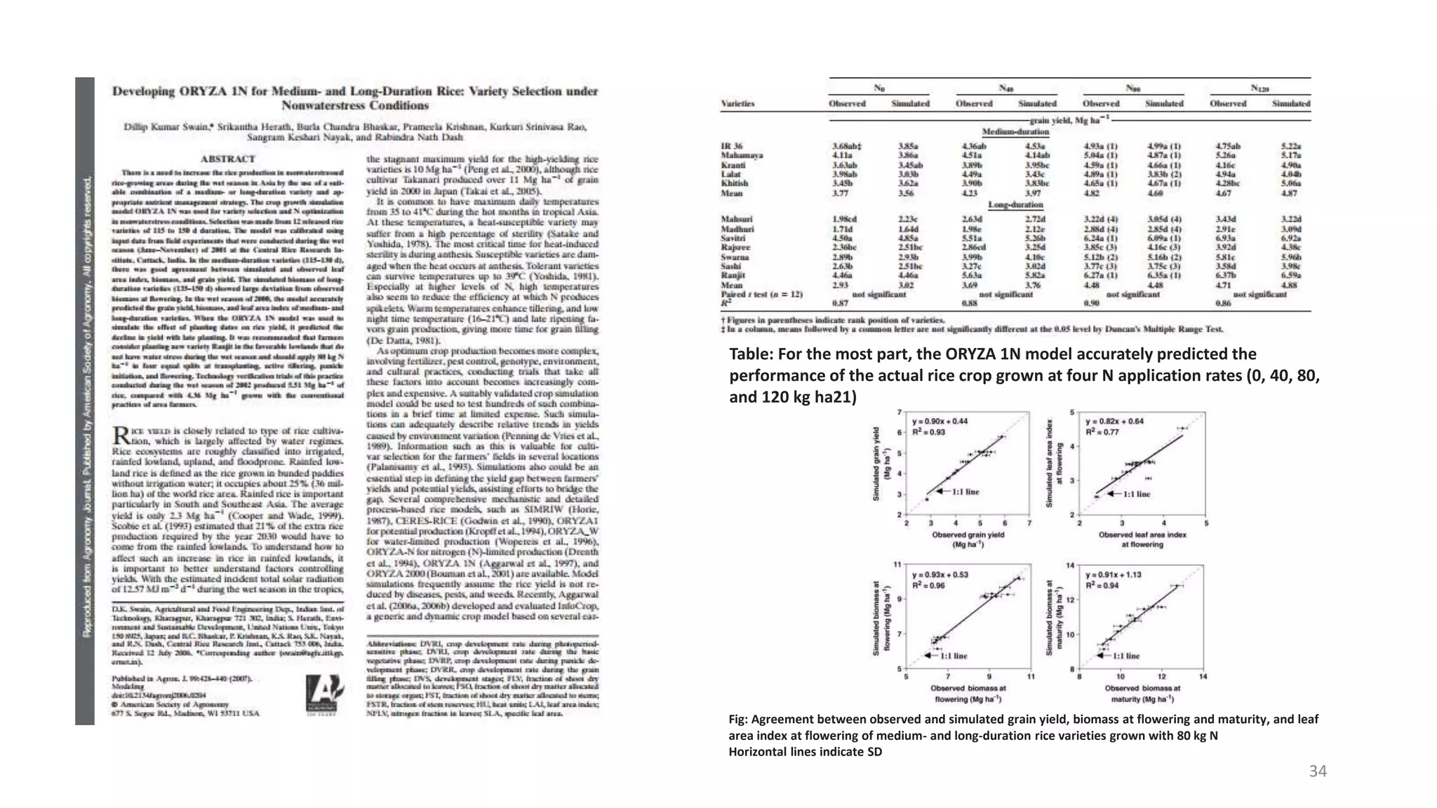 Crop Modelling in Rice | PPTX