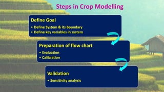 Crop Modelling in Rice | PPTX