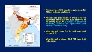 Crop Modelling in Rice | PPTX
