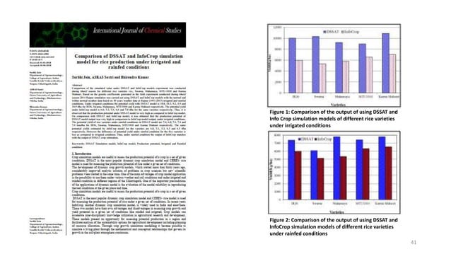 Crop Modelling in Rice | PPTX