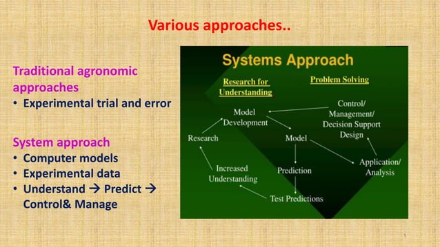Crop Modelling in Rice | PPTX