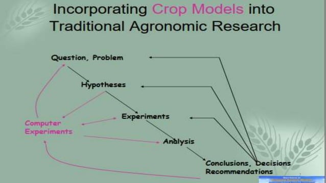 Crop Modelling in Rice | PPTX