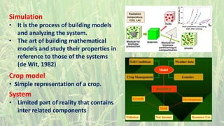 Crop Modelling in Rice | PPTX