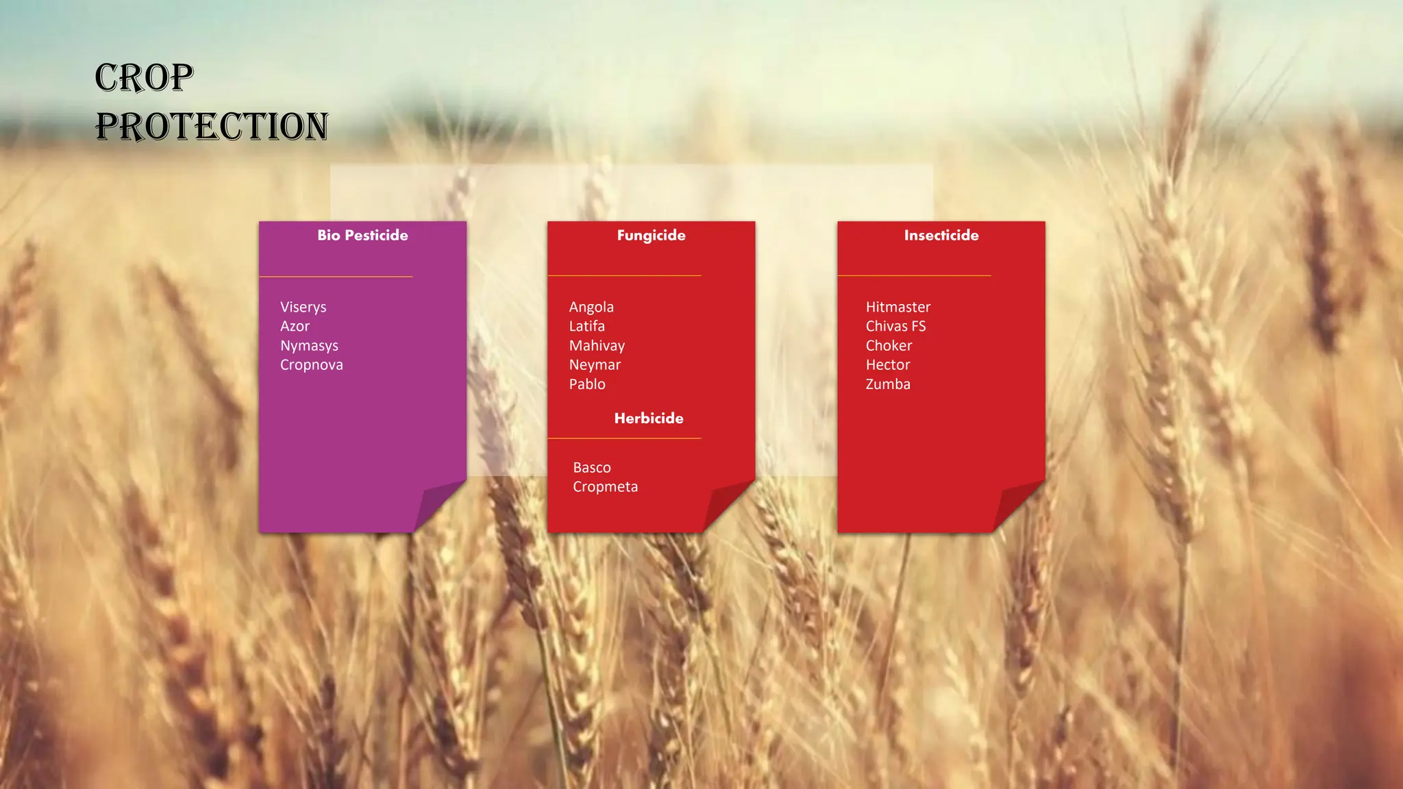 Cropnosys Product Brochure one plus one.pdf