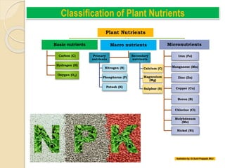 Plant Nutrients | PPTX