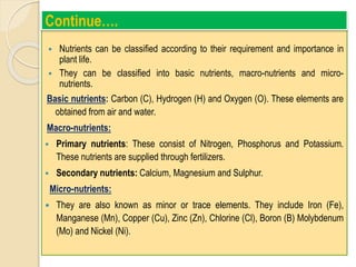 Plant Nutrients | PPTX