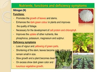 Plant Nutrients | PPTX