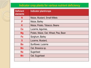 crop nutrientdr and its importance .pptx