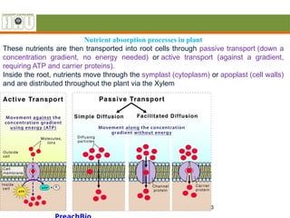 Crop nutrition (2).pptx Crop Nutrition-II (Mechanism, absorption ...