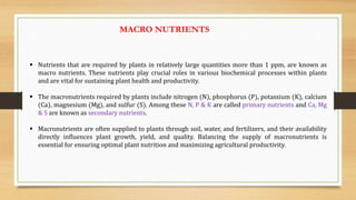 CROP_hbjhbbhbbhbhbbhbhjhjbhNUTRITION.pptx