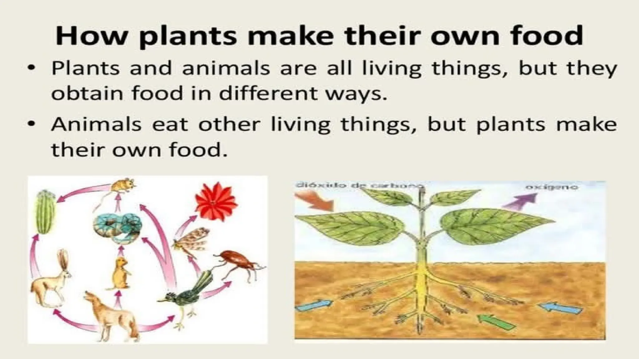 crop nutrition part, micro and macro nutrients | PPT