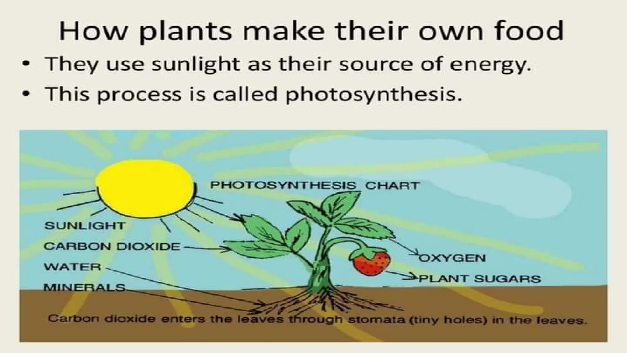 crop nutrition part, micro and macro nutrients | PPT