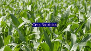 crop nutrition part, micro and macro nutrients | PPT