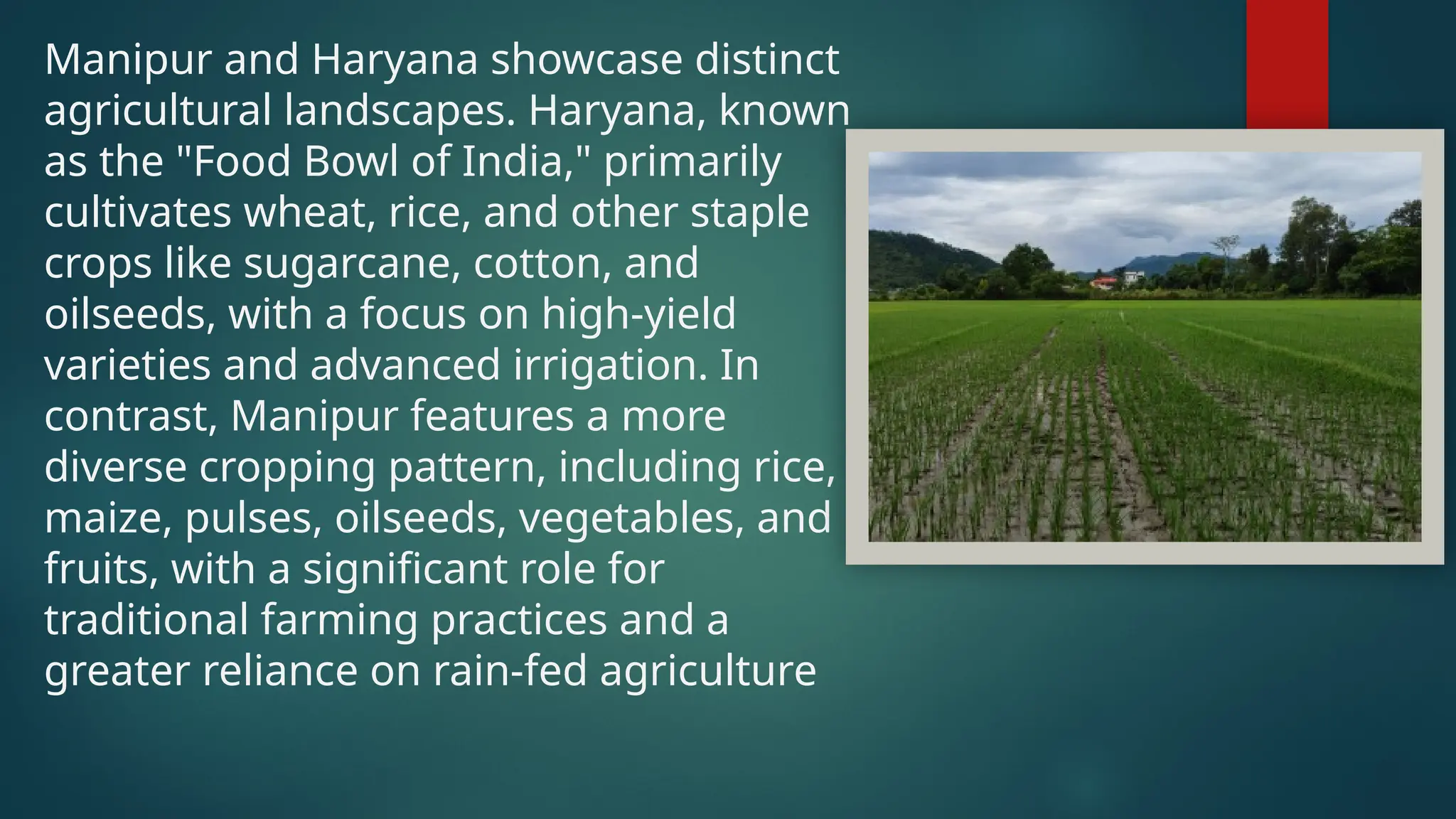 Crops of Haryana n Manipur for class VII | PPTX