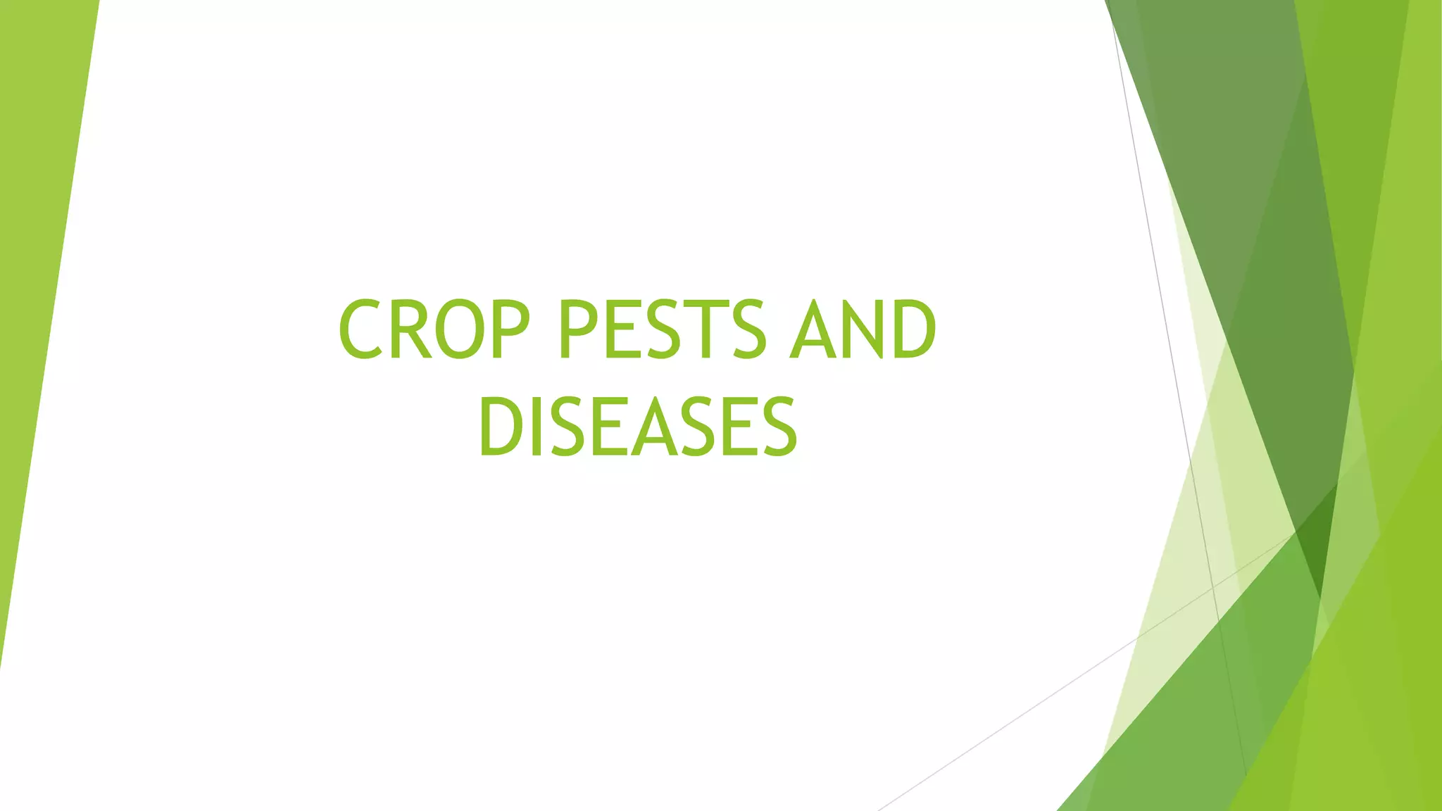 Crop pests and diseases | PPTX