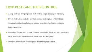 Crop pests and diseases | PPTX