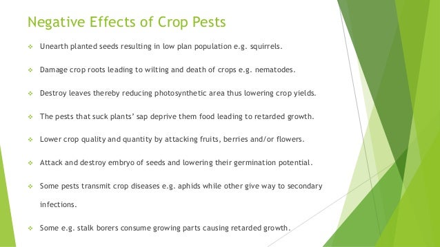 Crop pests and diseases