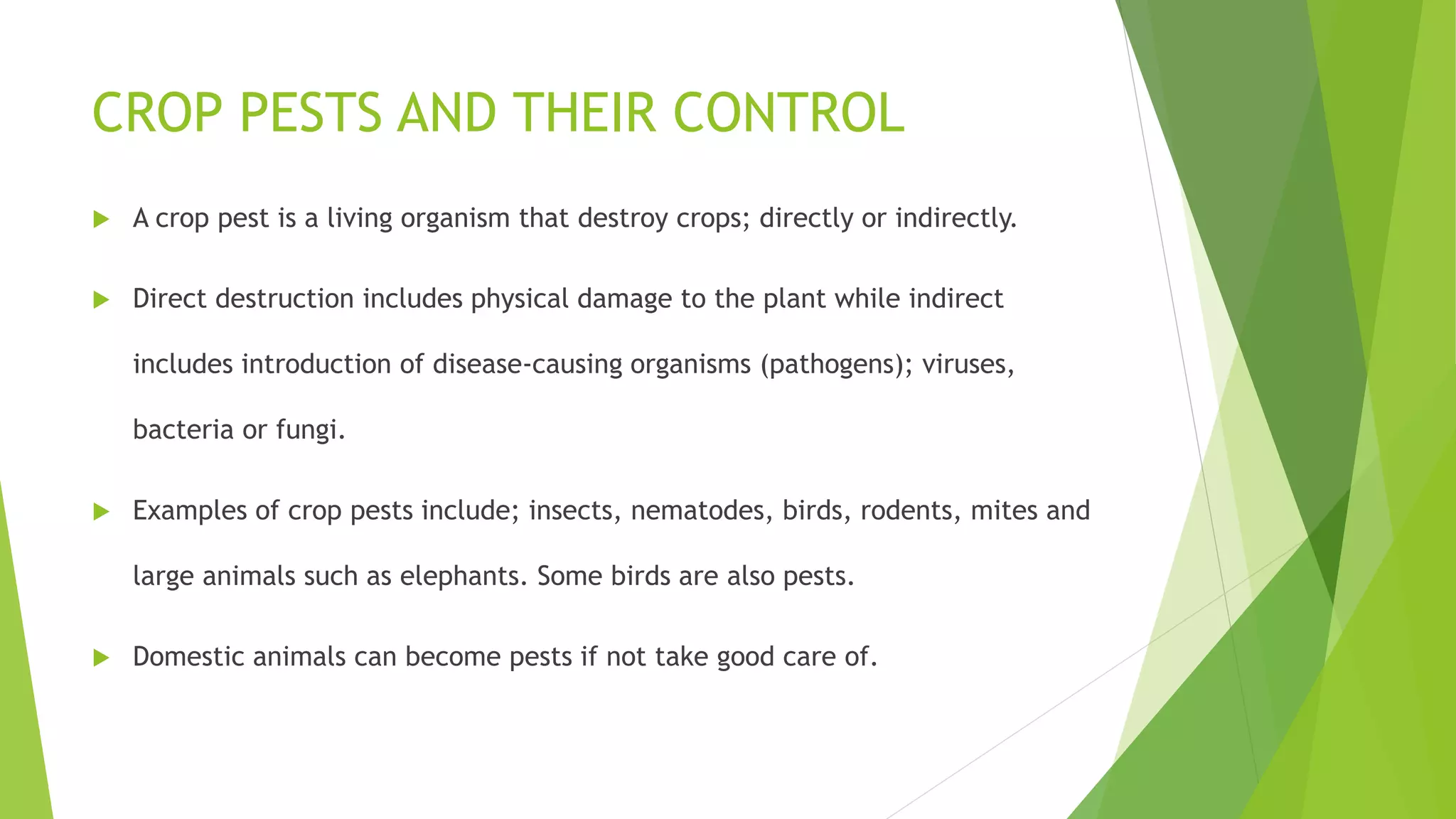 Crop pests and diseases | PPTX