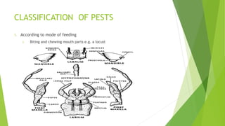 Crop pests and diseases | PPTX