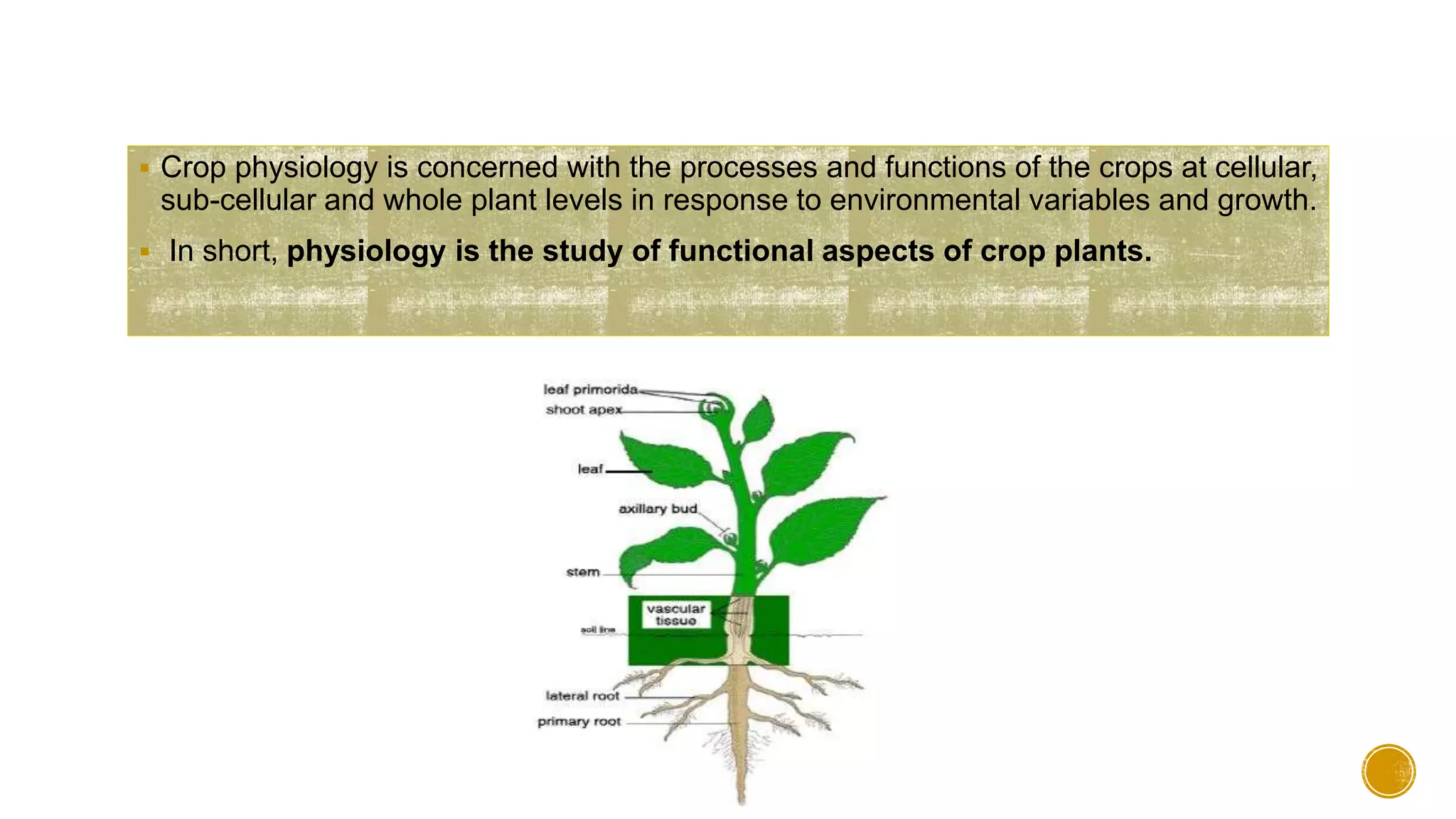Introducrion to Crop physiology | PPTX