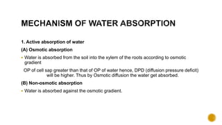 Introducrion to Crop physiology | PPTX