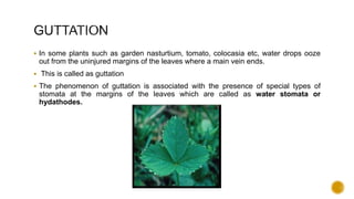 Introducrion to Crop physiology | PPTX
