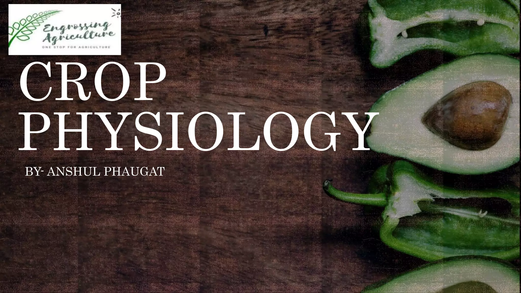 Crop physiology | PPT