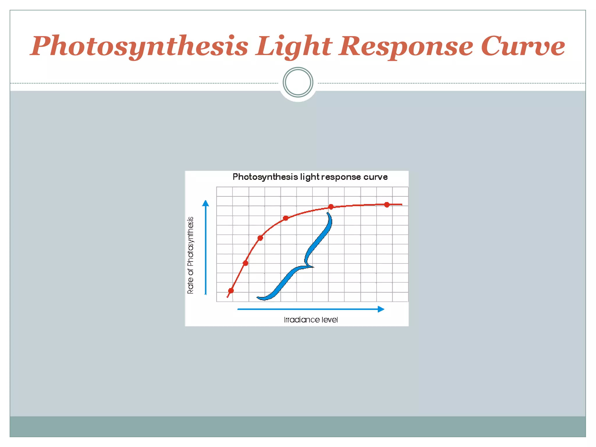 factors affecting rate of Photosynthesis | PPTX