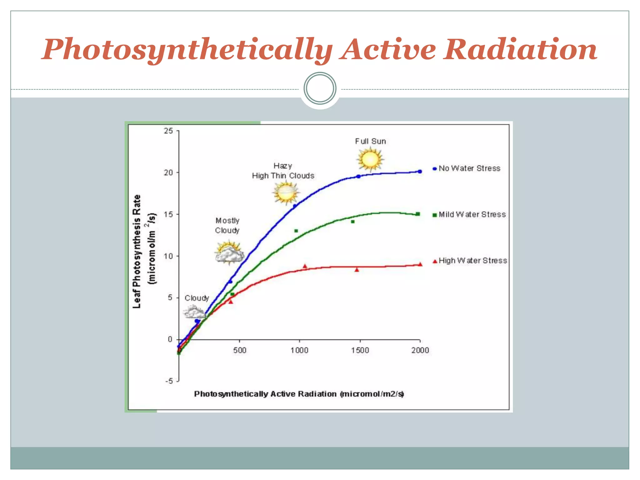 factors affecting rate of Photosynthesis | PPTX