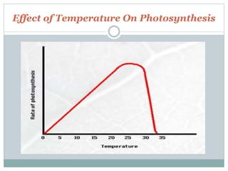factors affecting rate of Photosynthesis | PPTX