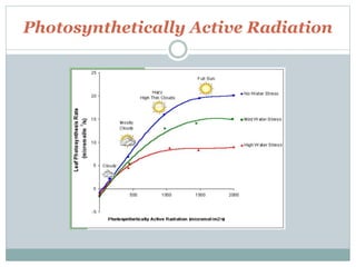 factors affecting rate of Photosynthesis | PPTX