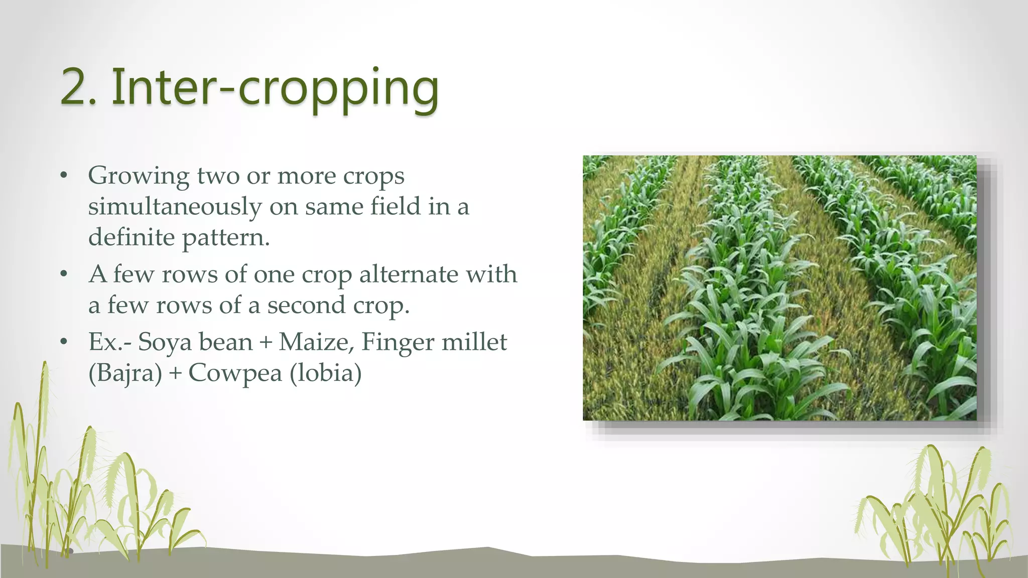 Cropping pattern | PPTX