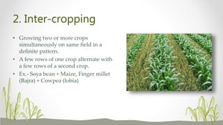 Cropping pattern | PPTX