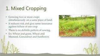Cropping pattern | PPT