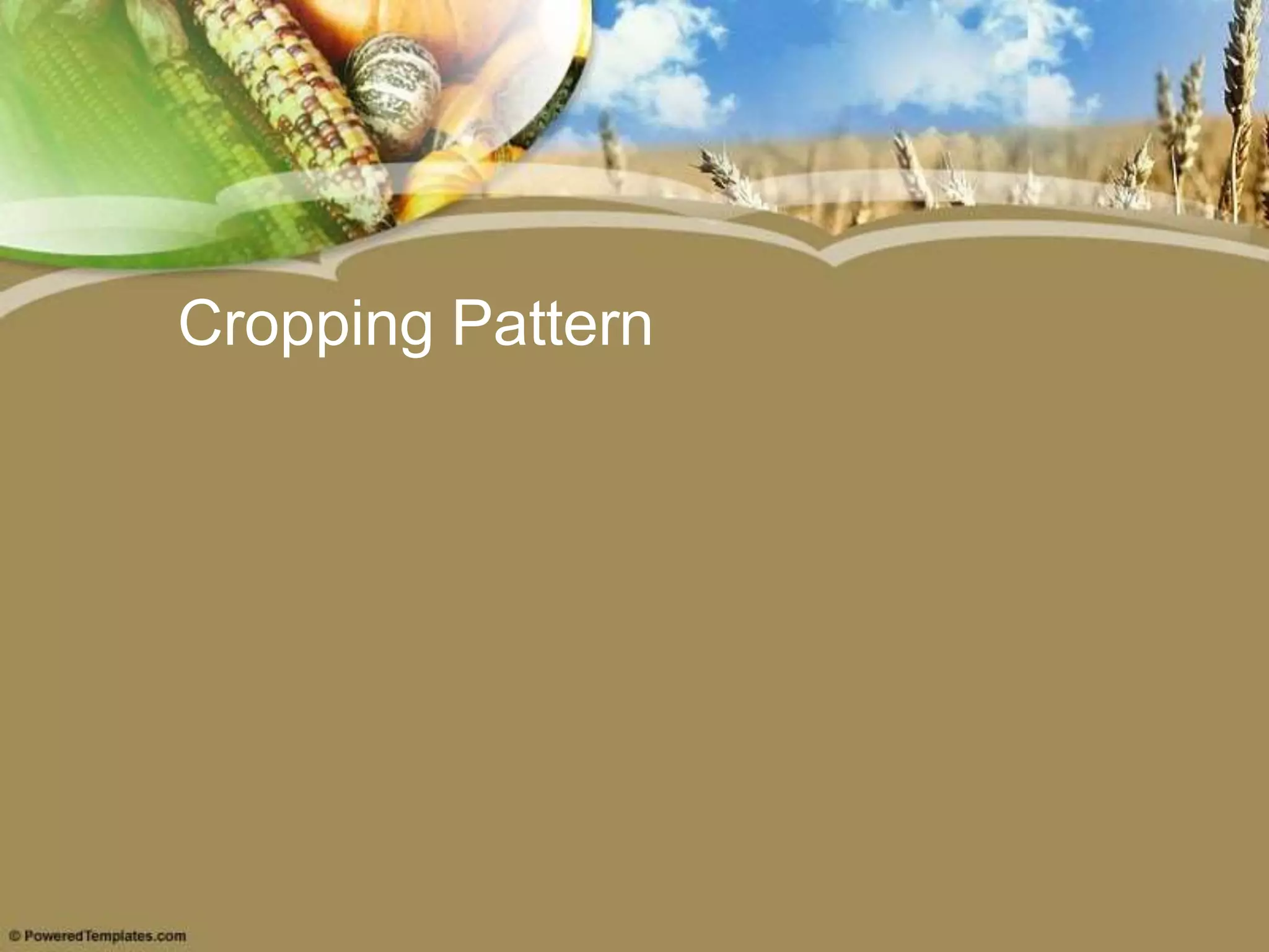 Cropping pattern | PPTX
