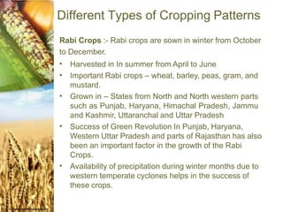 Cropping pattern | PPTX
