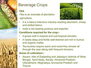 Cropping pattern | PPTX