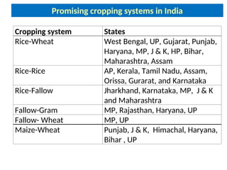cropping pattern.ppt............................. | PPT