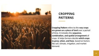 CROPPING PATTERN.pptx12345677890987655322 | PPTX