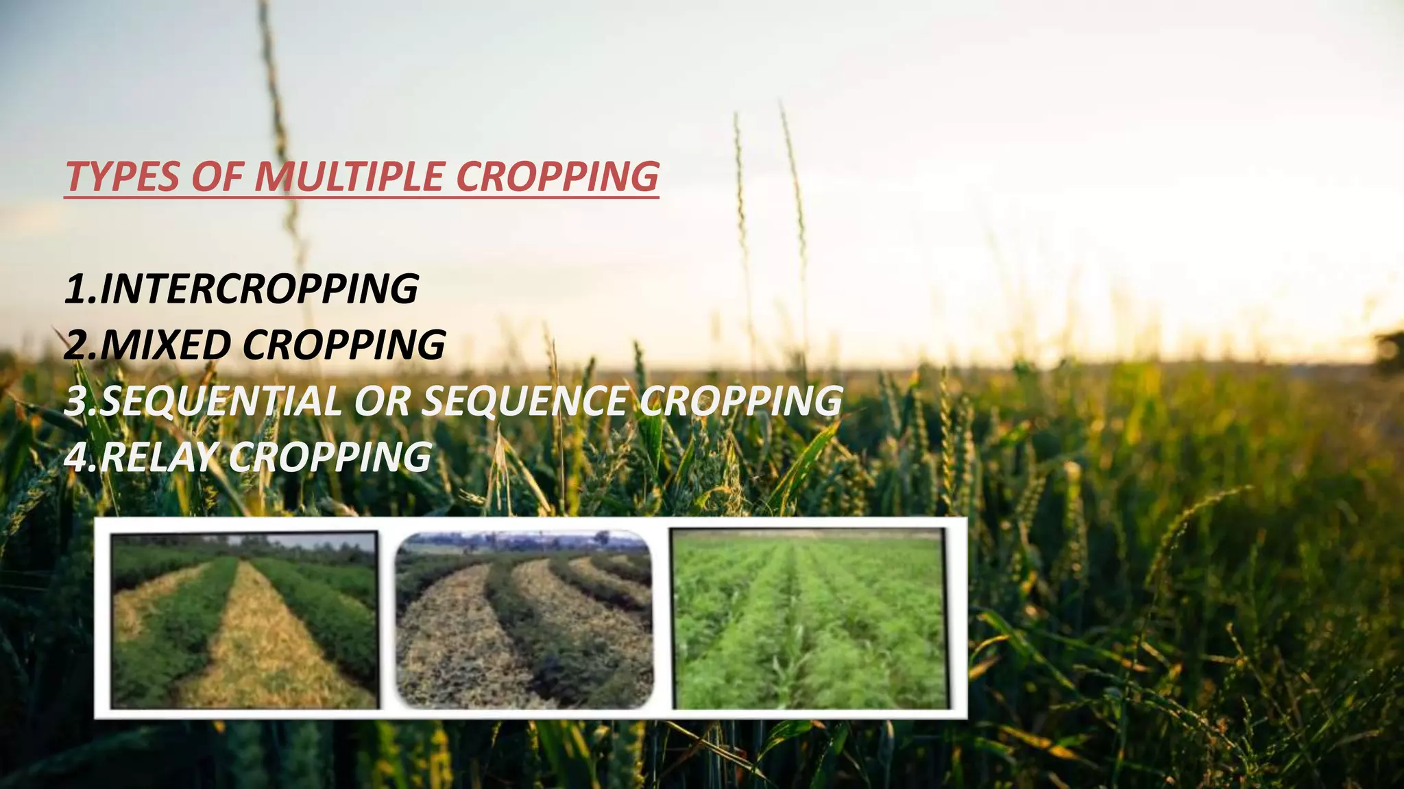 Cropping pattern and cropping system | PPTX