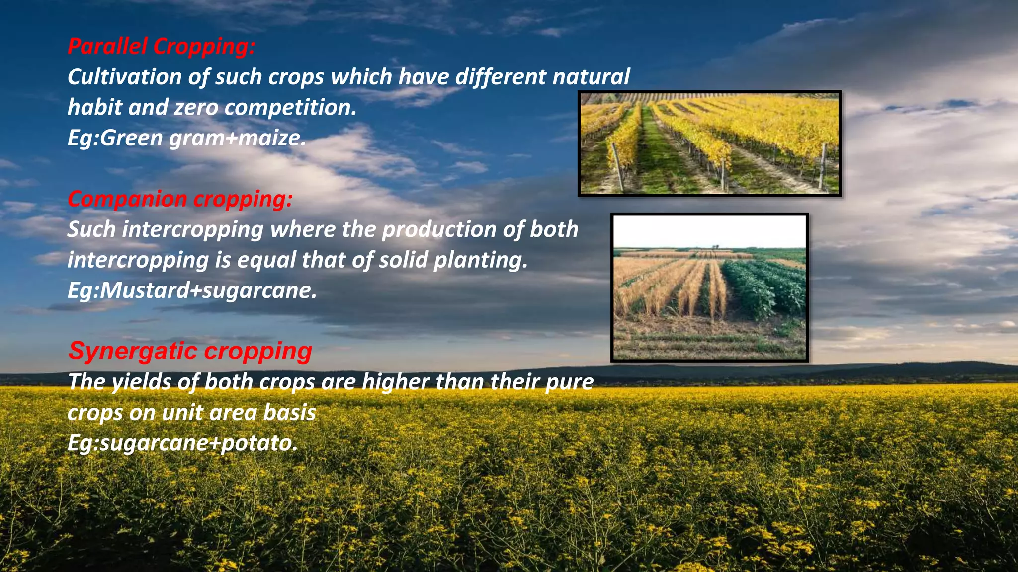 Cropping pattern and cropping system | PPTX