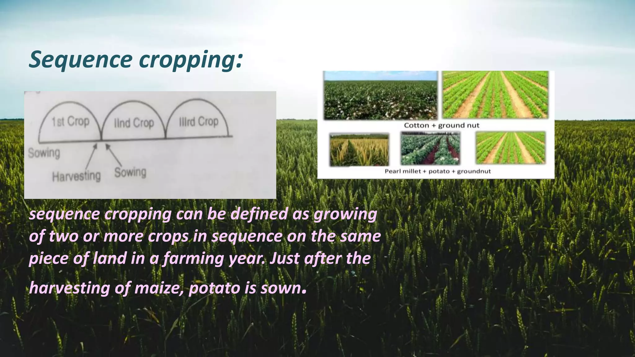 Cropping pattern and cropping system | PPTX